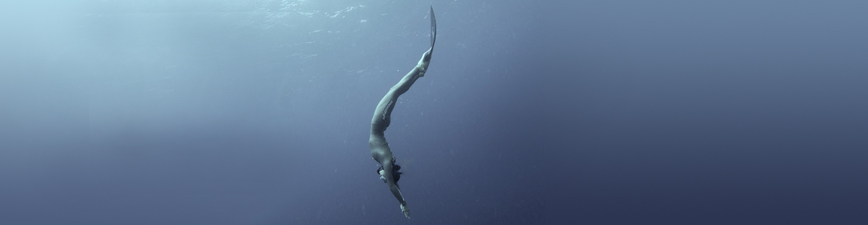 PADI Freediver Phuket | SSS Phuket™ Pioneer Freediving School