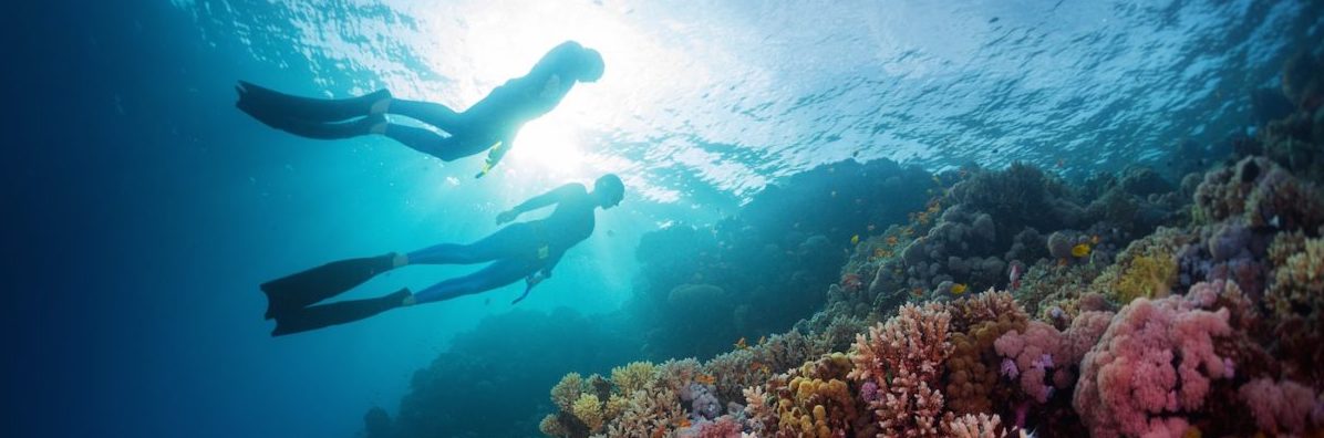 AIDA 3 Phuket | SSS Phuket™ Pioneer Freedive School & Training