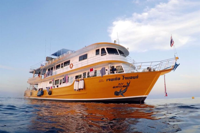 Gentle Giant liveaboard | SSS Phuket™ Liveaboard Dive Specialist